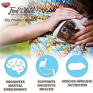 Kaytee Food from The Wild Natural Pet Guinea Pig Food, 4 Pound