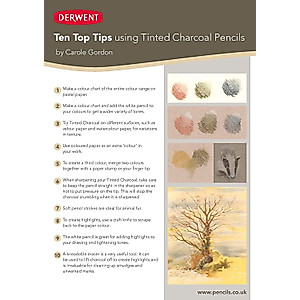 Derwent Charcoal Collection, Pack, 10 Count (2300675)