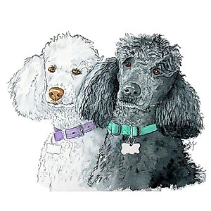 CafePress Two Poodles Mug Ceramic Coffee Mug, Tea Cup 11 oz