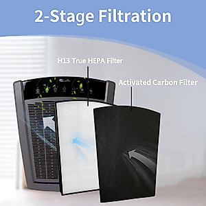 Replacement Filter Compatible with Live-Pure Bali Series LP550TH, LP550THP Multi-Room Whole House Large Console Air Cleaner Purifier, 1 Pack H13 True HEPA Filter + 4 Pack Carbon Filters
