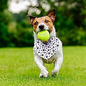 Xuniea 8 Pieces Sublimation Dog Bandanas Solid White DIY Pet Bandanas Triangle Scarf Blank Dog Kerchief Bandanas Polyester Pet Scarf Apparel for Small to Large Dogs Cats Puppy Bibs Kerchief