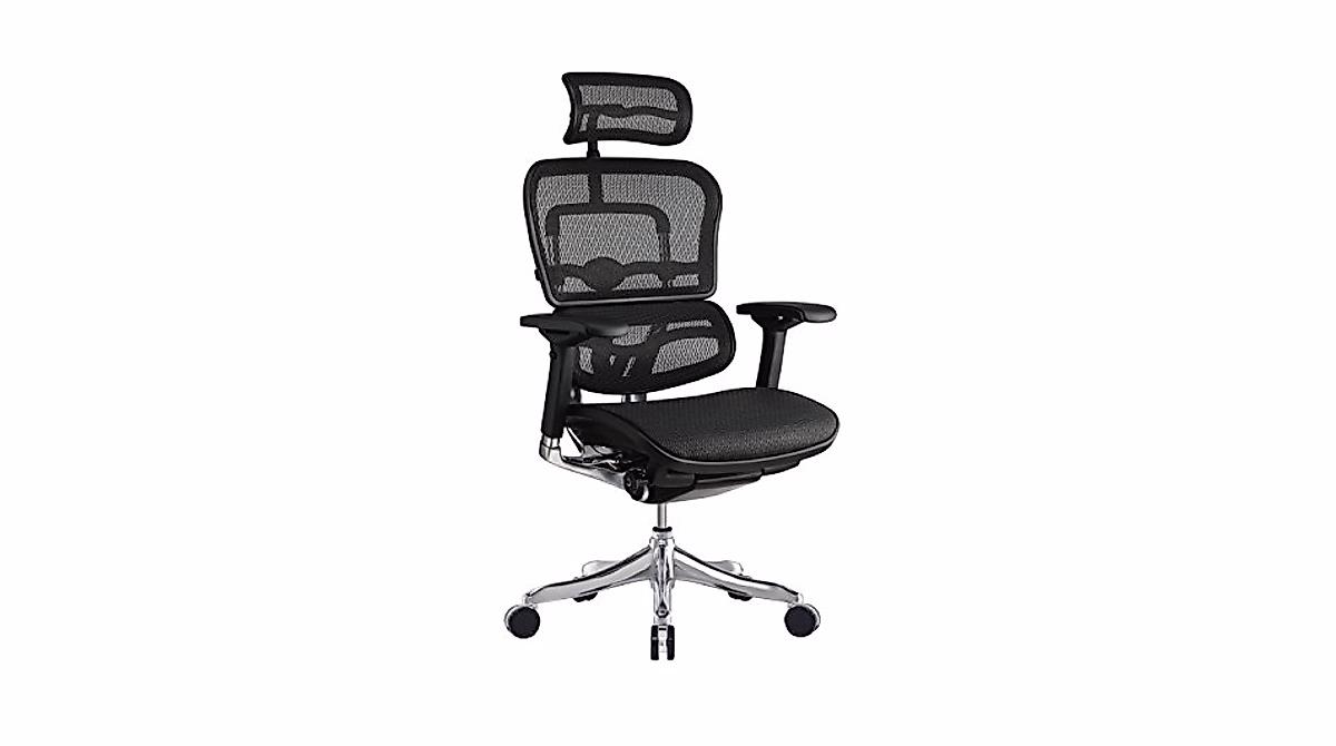 Shop Eurotech Ergo Elite High Back Chair - Comfort & Style
