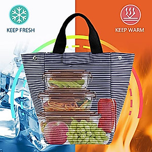 Mziart Insulated Lunch Bag for Women Men, Foldable Reusable Bento Lunch Bag Lunch Box Cooler Waterproof Lunch Tote Bag Lunch Container for Work Office Picnic or Travel (Blue White Stripes)