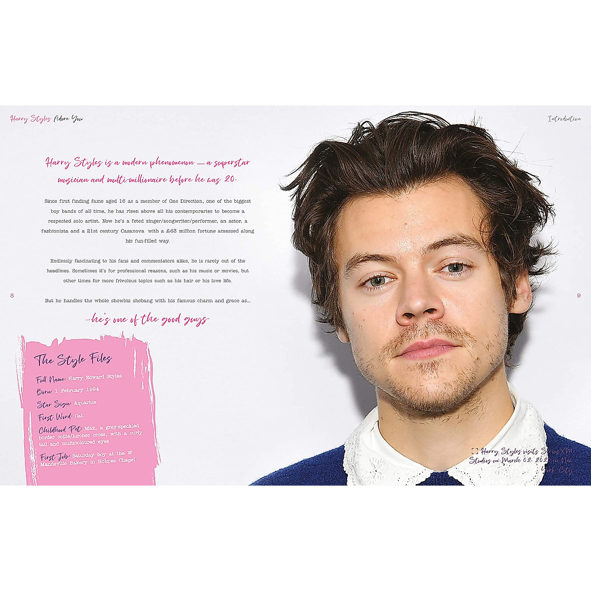 Harry Styles: Adore You: The Illustrated Biography