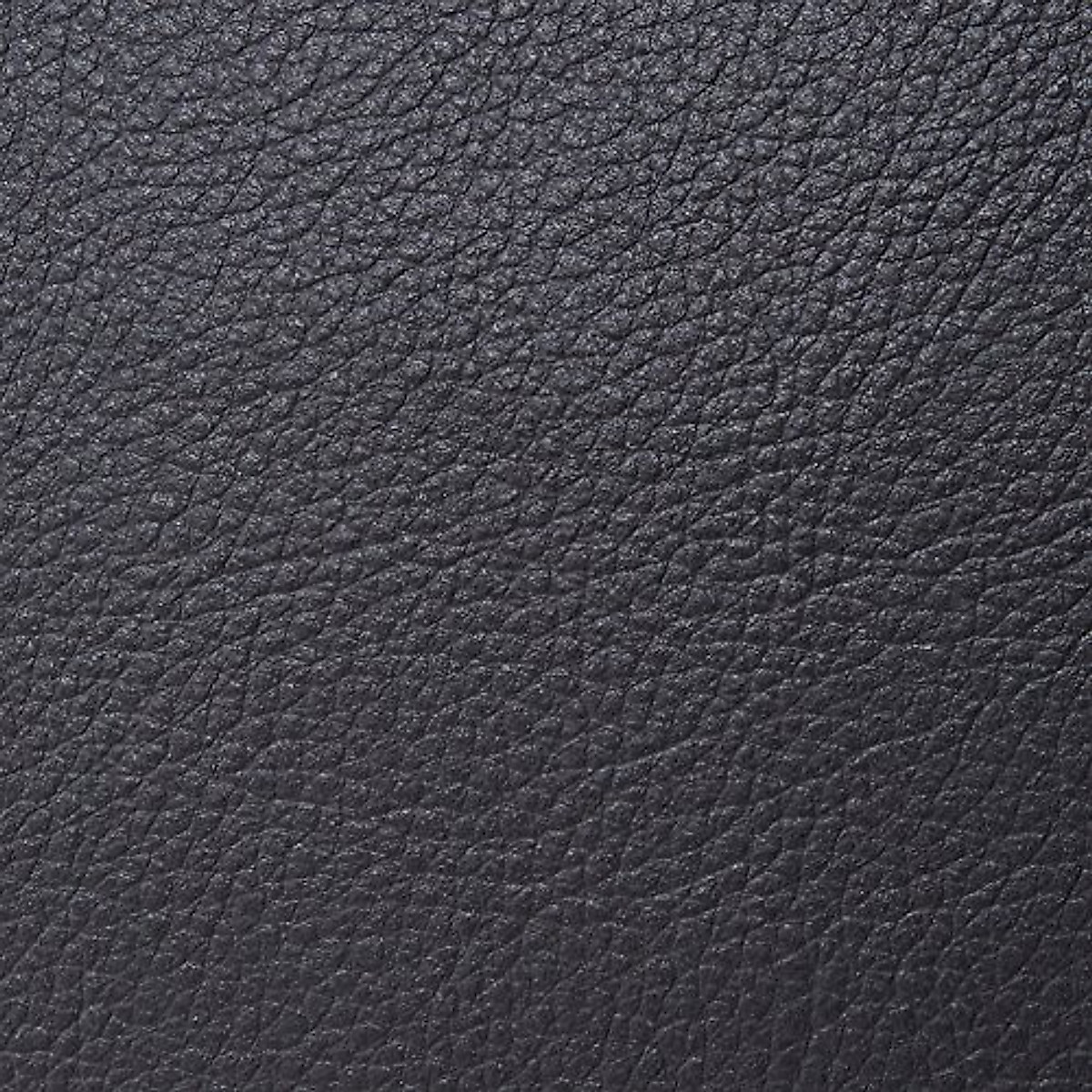 Coaster Samuel Transitional Leather Sofa, Black