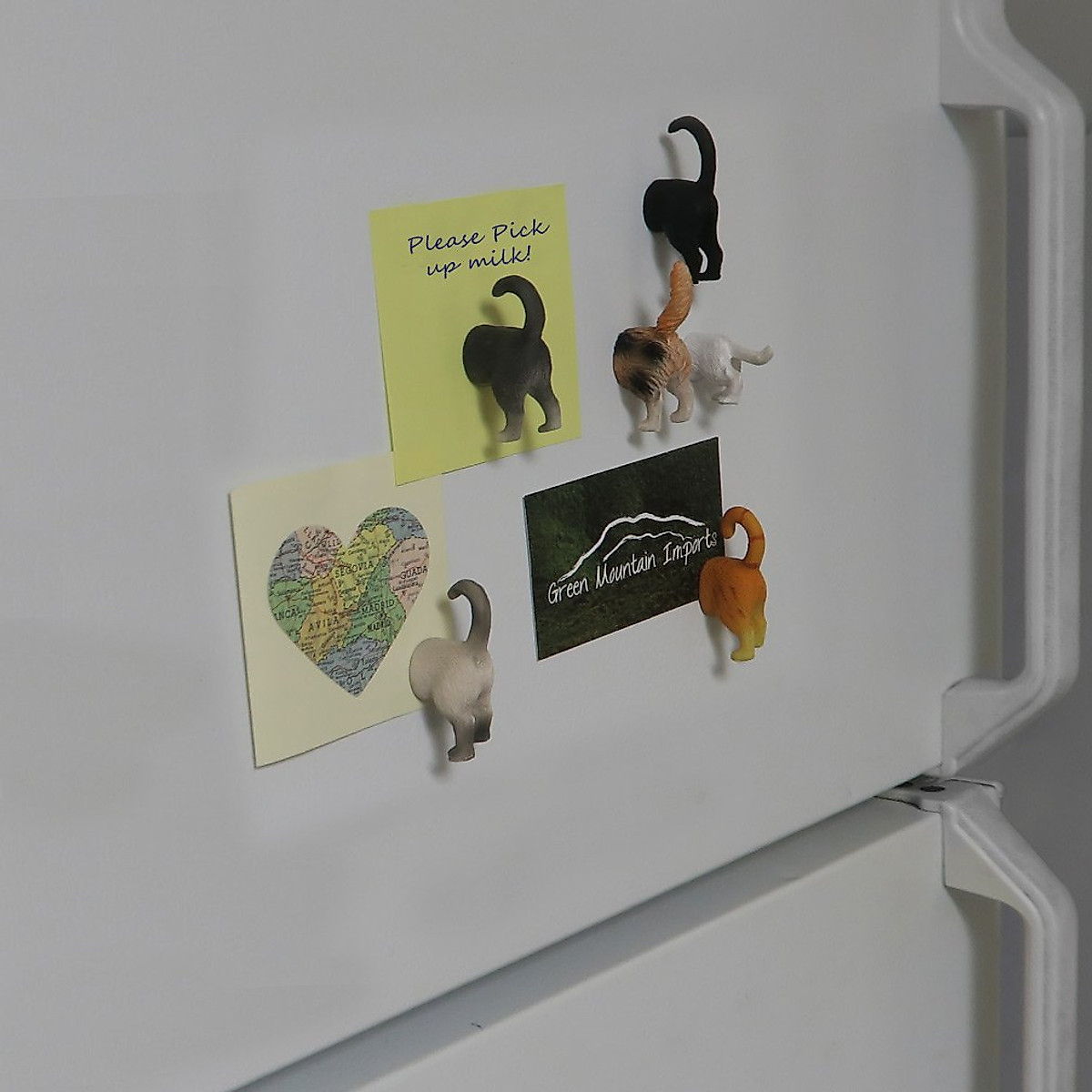 6 Pack - Evelots Refrigerator Magnets-Cat Butts-Photo/Key Holder-6 Popular Breeds