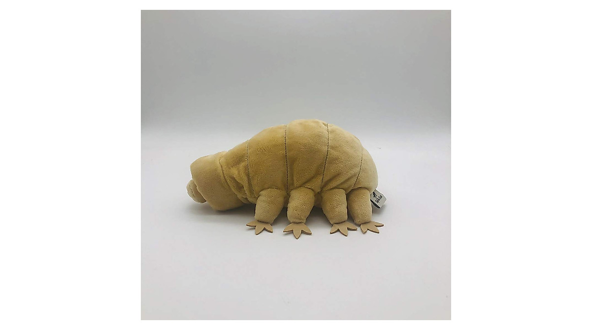 TAMMYFLYFLY Lifelike Tardigrade Plush - Soft & Cute Doll