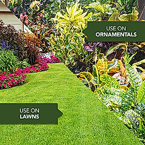 BioAdvanced Bermudagrass Control for Lawns, Ready-to-Spray, 32 oz