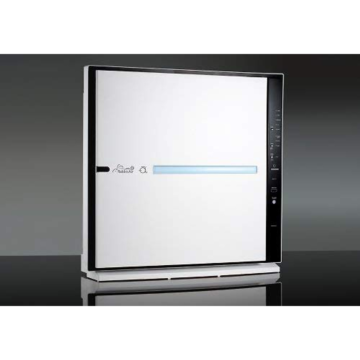 RabbitAir MinusA2 Ultra Quiet HEPA Air Purifier - Stylish, Efficient and Energy Star (SPA-780A, White, Germ Defense)