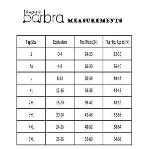 Barbra Lingerie Satin Panties S to Plus Size Womens Underwear Full Coverage Brief Multi-Pack (Grape, 4XL)