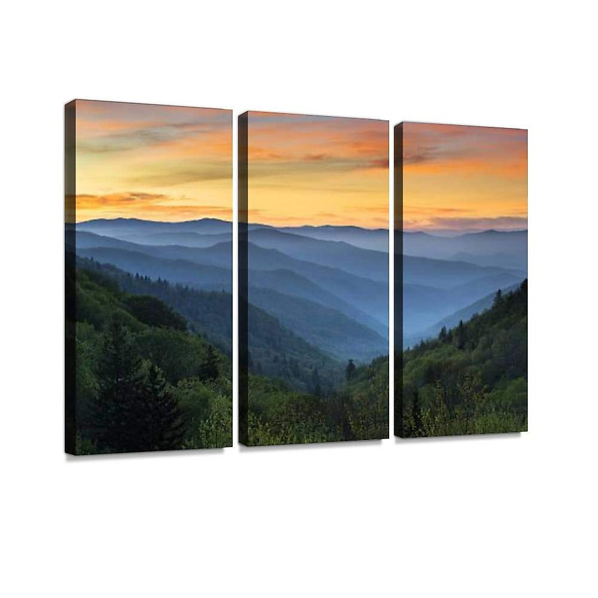 sunrise landscape great smoky mountains national park gatlinburg tn Wall Art Painting Pictures Print On Canvas Stretched & Framed Artworks Modern Hanging Posters Home Decor 3PANEL