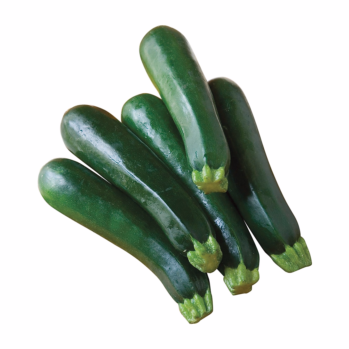 Burpee Elite Hybrid Summer Squash Seeds 25 seeds