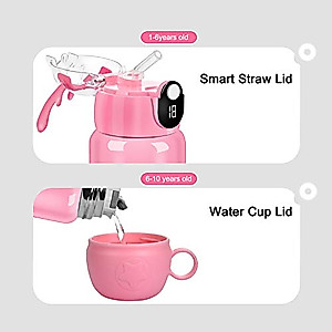 Temperature Display Kids Water Bottle，18 Oz，Straw Lid，Vacuum Insulated，316 Stainless Steel，Modern Double Walled Thermo Mug，Pink