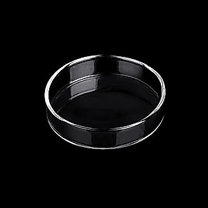 Dannisly Aquarium Glass Feeder Dish Shrimp Feeding Dish Round Clear Glass Fish Feeder Bowl Fish Tank Food Tray Container Prevent Food Spilling, 60mm