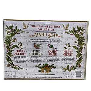 Home & Body Holiday Greetings Collection Hand Soap - 4 Bottles, 21.5 fl oz each