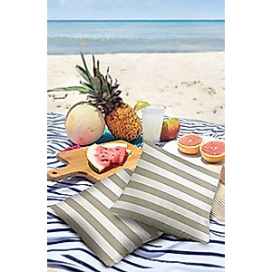 Beige Geometry Stripe Farm House Outdoor Throw Pillow Covers Cases for Patio Furniture Set of 2, Rustic Contemporary Waterproof Decorative Lumbar Pillowcases for Couch Garden Tent Balcony 20x20 Inch