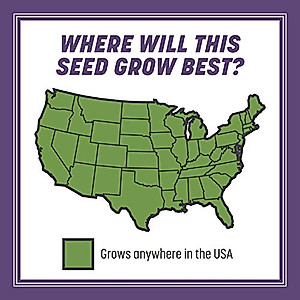 Pennington Smart Seed Dense Shade Grass Mix 7 lb