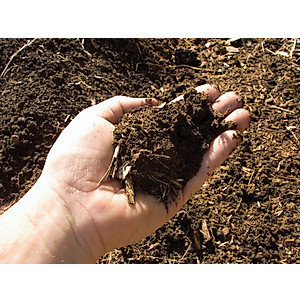 Panacea Products 89560 Compost Bin, 30-Inch Height by 36-Inch Width by 36-Inch Diameter, Green