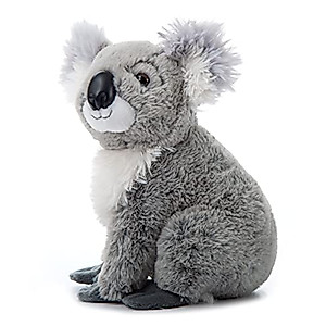 The Petting Zoo Koala Stuffed Animal, Gifts for Kids, Wild Onez Zoo Animals, Koala Plush Toy 12 inches