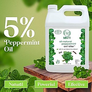 Minty Ant Killer - Natural 5% Peppermint Essential Oil Spray for Bugs, Ants and Insects - Safe for Indoor & Outdoor Use Repellent Spray 128 Fl Oz Gallon Trigger Sprayer