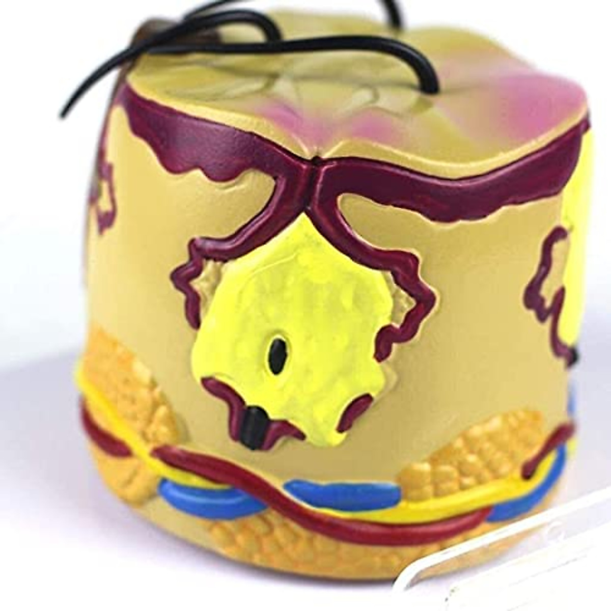 DABAUR Organ Model Skin Hair Follicle Hair Acne Pustule Blackhead Anatomical Model for Study Display Teaching Anatomical Model