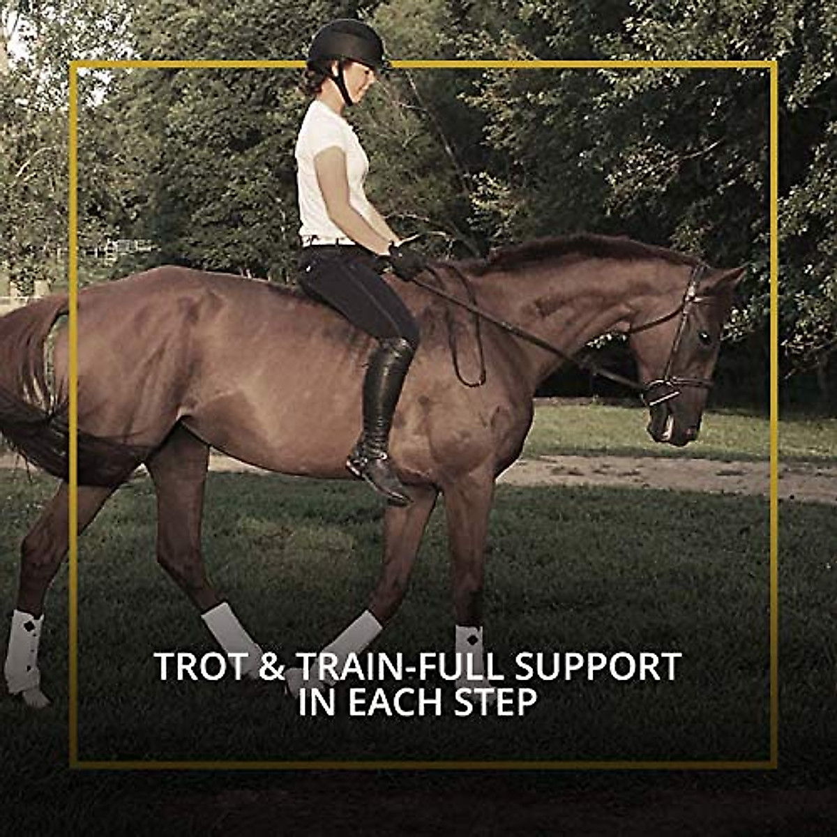 Kavallerie PRO-K Support Boots for Horses - Maximum Protection & Rehabilitation from Injuries & Strains of Flexor Tendon Region for Training, Jumping, Riding, Eventing