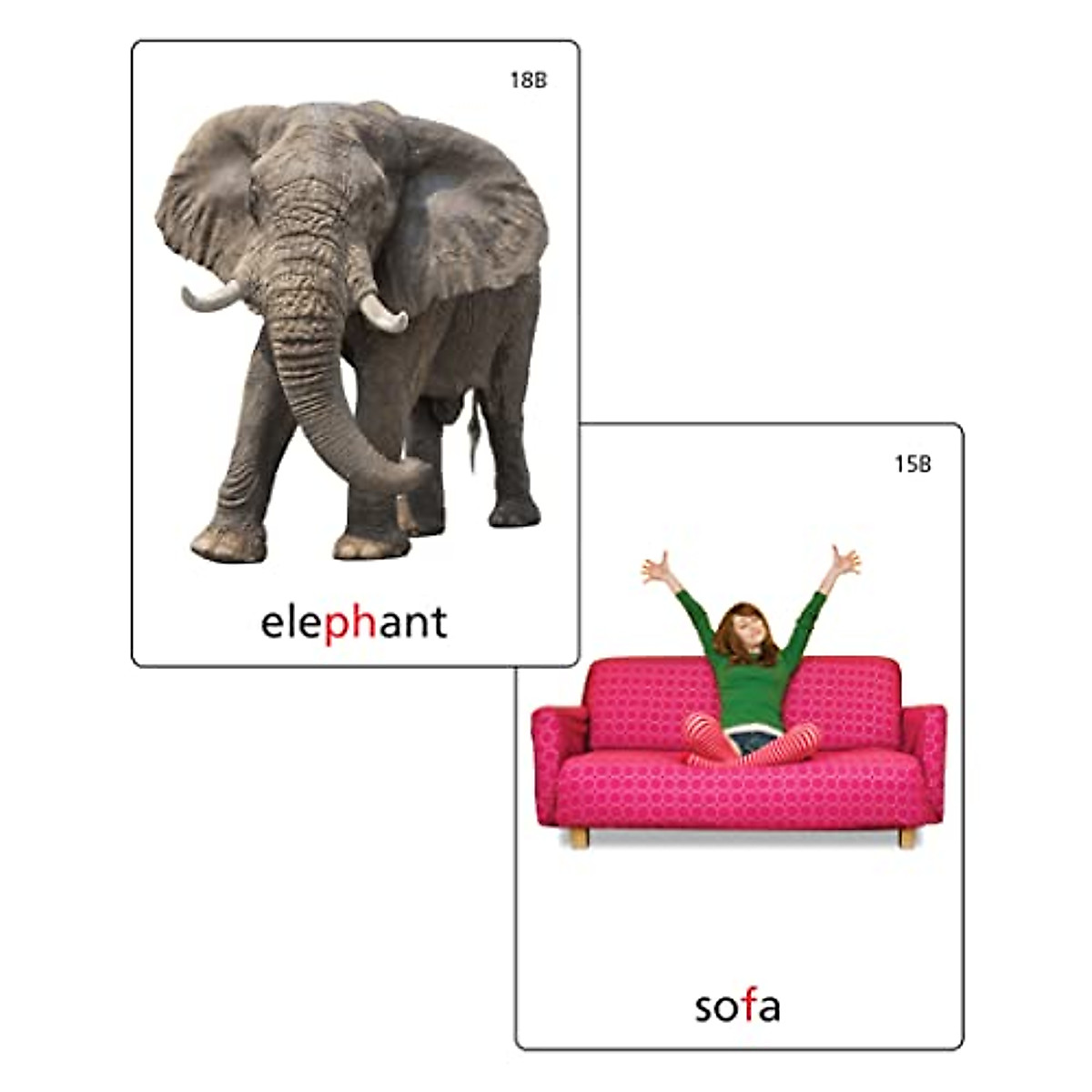 Super Duper Publications | Articulation Photos F Fun Deck Flash Cards | Educational Learning Resource for Children