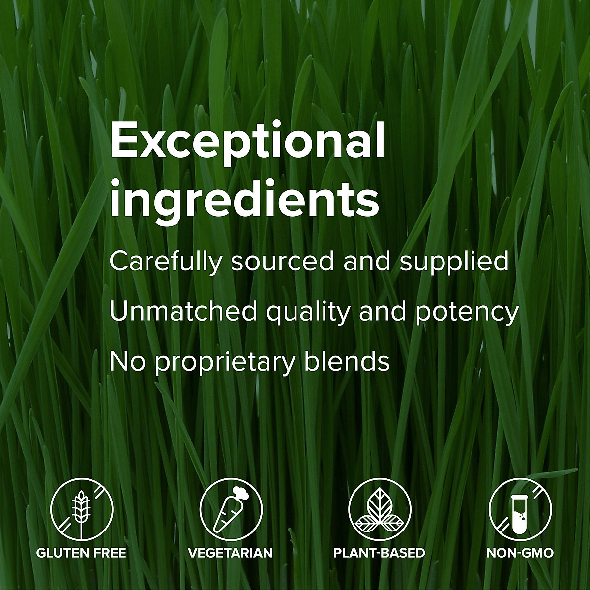 Vibrant Health, U.T. Vibrance, Crisis Intervention for Urinary Tract Health, 50 Capsules