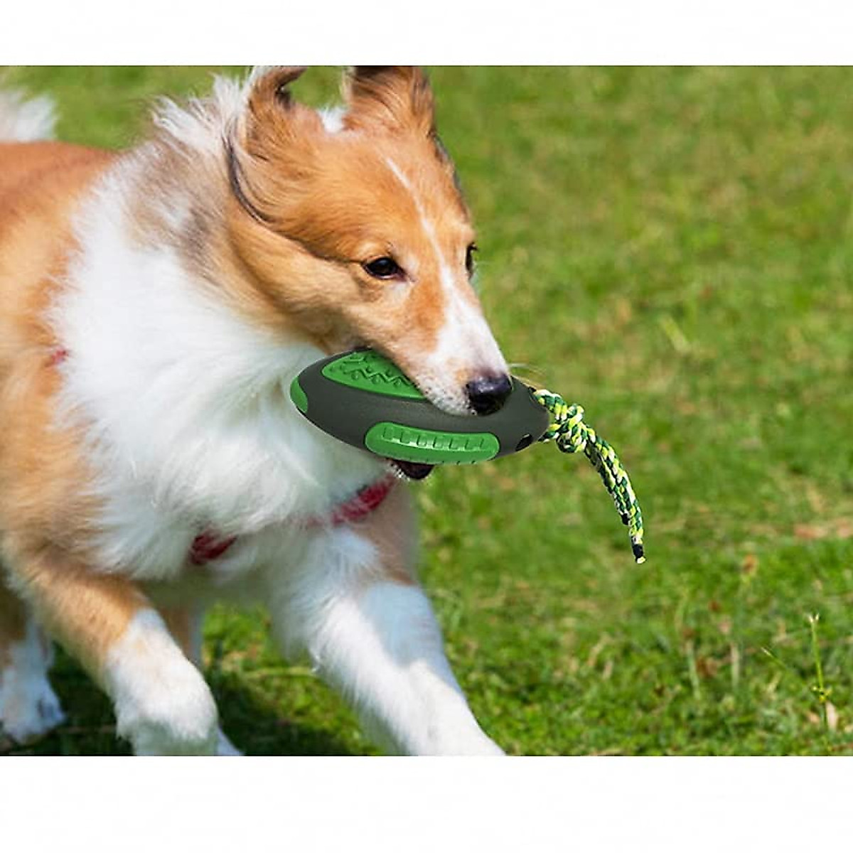 COOLOUS Dog Chew Toys,Dog Squeaky Rugby Toys Pet Puzzle Toys IQ Toy Interactive Toy Puppy Clean Teeth Toy Suitable for Large and Medium Puppy