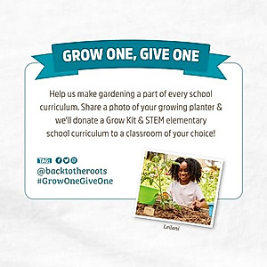 Back to the Roots Non-GMO Chili Planter, Grow Organic Chili Peppers Year Round, Windowsill Grow Kit, Top Gardening Gift, Holiday Gift, & Unique Gift