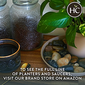 The HC Companies 10 Inch Round Prima Planter - Plastic Plant Pot with Rolled Rim for Indoor Outdoor Plants Flowers Herbs, Twilight Blue