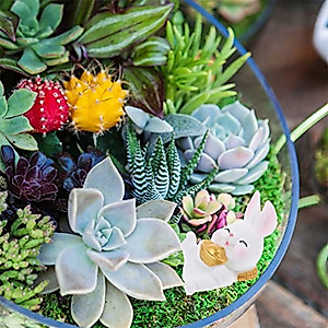 DECHOUS 10pcs Small Landscape Ornaments Zodiac Rabbit Figurine Zodiac Bunny Figurines Easter Bunny Figurines Car Dashboard Ornament Fairy Decor Rabbit Year Decors Animal Display Resin