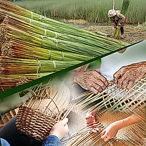 GAIAMADE Set of 2 Seagrass Market Basket Bag, Grocery Bag, Straw Tote Bag, Woven Beach Bag, Utility Tote, Straw Bags For Women, Reusable Grocery Bags, Beach Tote Bag for Shopping, Storage, Travel