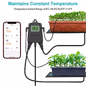 Inkbird WiFi Heat Mat Reptile Thermostat Controller Temperature Controller with 2 Probes and 2 Outlets, IPT-2CH Reptiles Heat Mat Thermostat (Max 250W per Outlet)