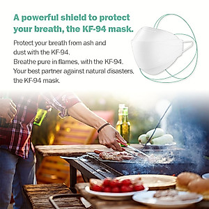 Dr.Puri [20 Pack] New Micro-Dust Protection Face Premium Mask (KF94) Black Large