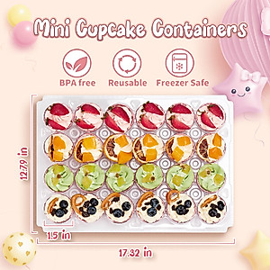 Hlukana (24 Pack x 15 Sets) Mini Cupcake Containers with 375 Pack Cupcake Liners, Plastic Cupcake Holder, Stackable Mini Cupcake Boxes Carrier, Clear Disposable Cupcake Trays, High Dome - MINI SIZE