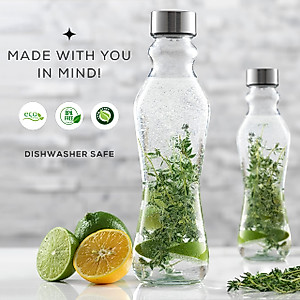 JoyJolt Spring Glass Water Bottles Set of 6-18 oz Glass Bottles with Stainless Steel Caps - Glass Drinking Bottles with Leakproof Lids - Reusable Glass Juice Bottle - Container Bottle Set