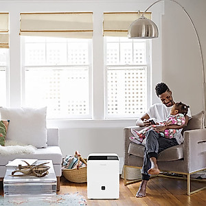 Frigidaire FFAD6022W1 Dehumidifier, High Humidity 60 Pint Capacity Dehumidifier with a Easy-to-Clean Washable Filter and Custom Humidity Control for maximized comfort, in White