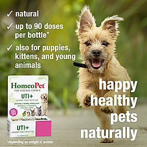 HomeoPet UTI Plus Urinary-Tract Relief, Supportive UTI Medicine for Dogs, Cats, and Other Pets, 15 ml