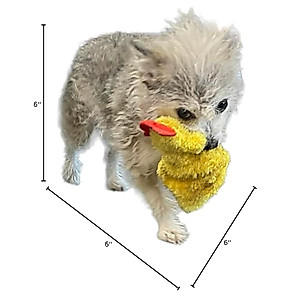 Chicken and Egg Crinkle Squeaker Pack Fun Durable Interactive Fetch Toys for Puppies Dogs Small Amimals