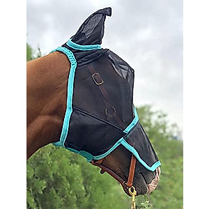 TGW RIDING Horse Mask Full Face Mesh Mask Fine Mesh with Ears and Long Nose (Cob, Black/Turquoise)