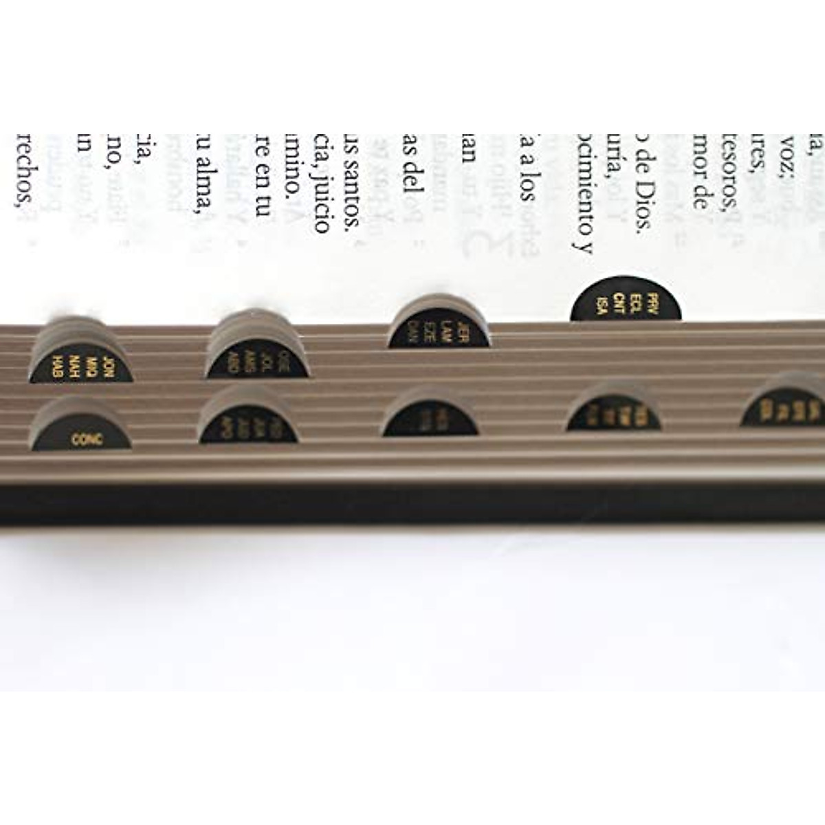 Biblia Reina Valera 1960 letra grande. Símil piel negro, índice, tamaño manual / Spanish Bible RVR 1960. Handy Size, Thumb Index, Large Print, Black Leat