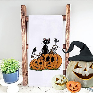 Halloween Black Cat Kitchen Dish Towels, 18 x 28 Inch Halloween Boo Pumpkin Holiday Tea Towels for Cooking Baking Set of 2
