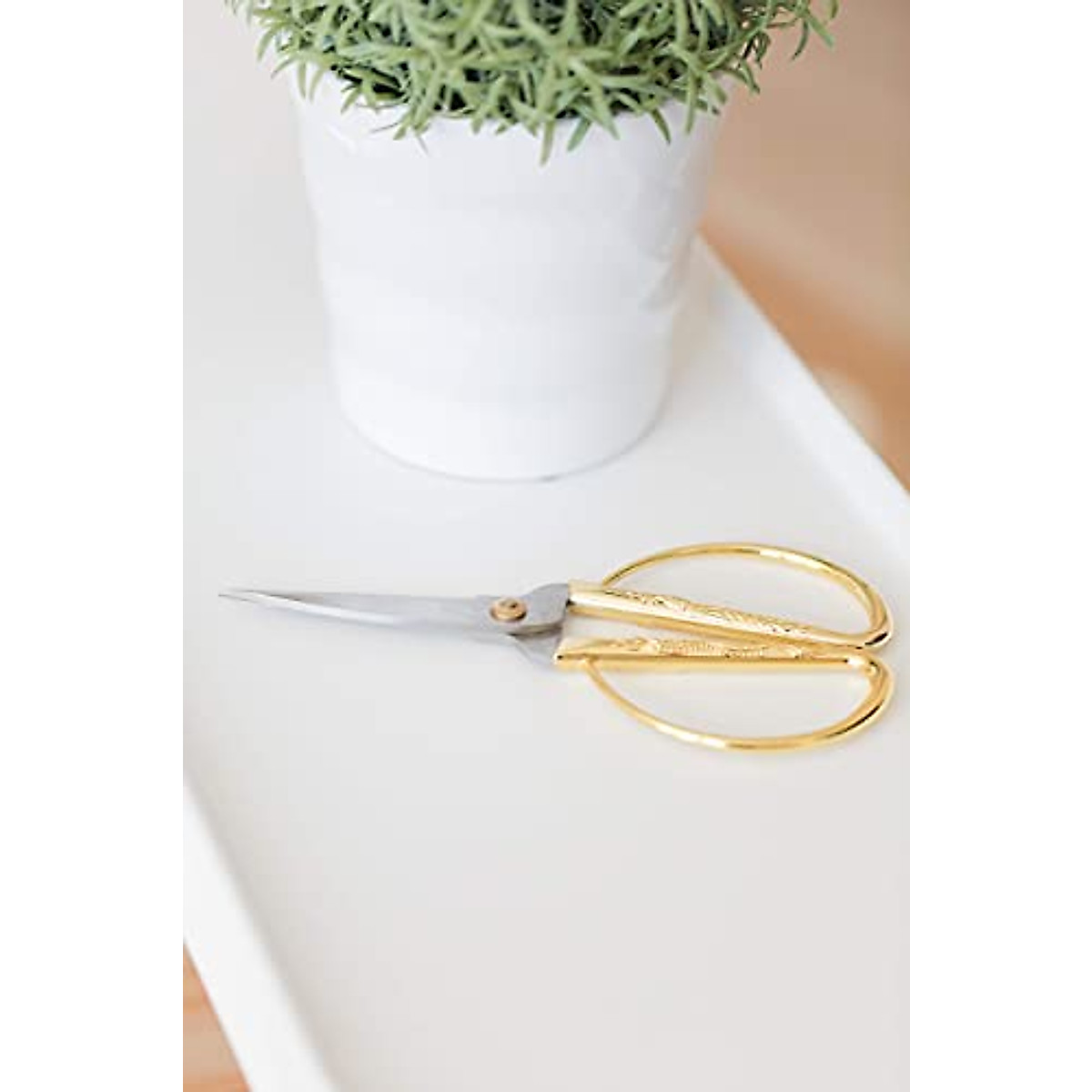 Premium Houseplant Scissors and Pruning Shears - Comfortable Grip Garden and Plant Clippers, Trimmers, Loppers, Flower Cutters, Made from 100% Stainless Steel