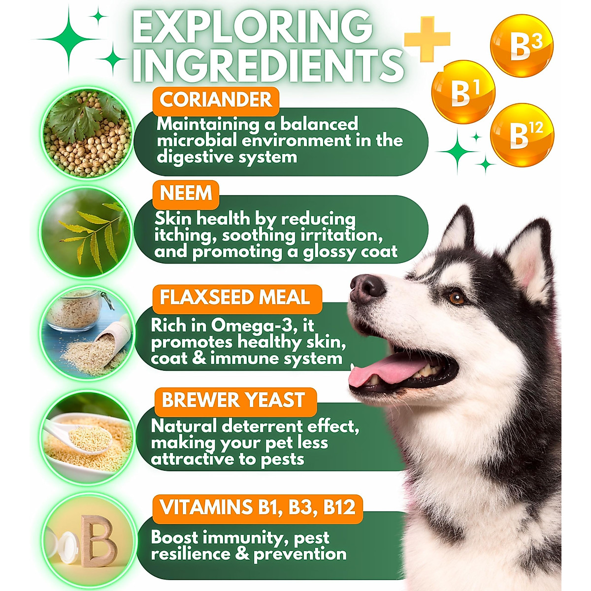 Flea and Tick Prevention for Dogs Chewables - Natural Dog Flea and Tick Control Supplement - Flea & Tick Chews for Dogs - All Life Stages - Made in USA