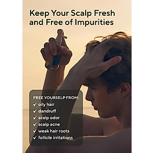 AROMATICA Tea Tree Purifying Hair Set - Gift Set with Vegan Shampoo, Tonic Spray and Essential Oil for Itchy, Greasy Hair