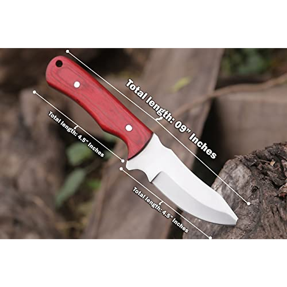 Exemplary Knives 9'' Handmade Fixed Blade knife with Cowhide Leather Sheath with integrated belt loop Stainless Steel Blade and Highly Polishing Red Pakkawood handle with Comfortable Grip for Outdoor Hunting, Hiking, Skinning, Camping and Bushcrafting.