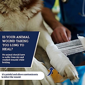 ROYAL RACQUEL (10 oz Organic Wound Care Paste for Horses, Dogs, Cats. Wound Care for Pet Healing, Quick Acting Formula for Relief from Scratches, Mud Fever, Girth Rot, Proud Flesh, and Summer Sores