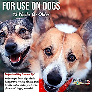 SHOW SEASON ANIMAL PRODUCTS 1 South Bark Blueberry-Clove Pet Cologne 8.5 oz. For Dogs | Long-Lasting Odor Eliminator | Cruelty-Free | Paraben-Free | Biodegradable and Non-Toxic | Made In USA