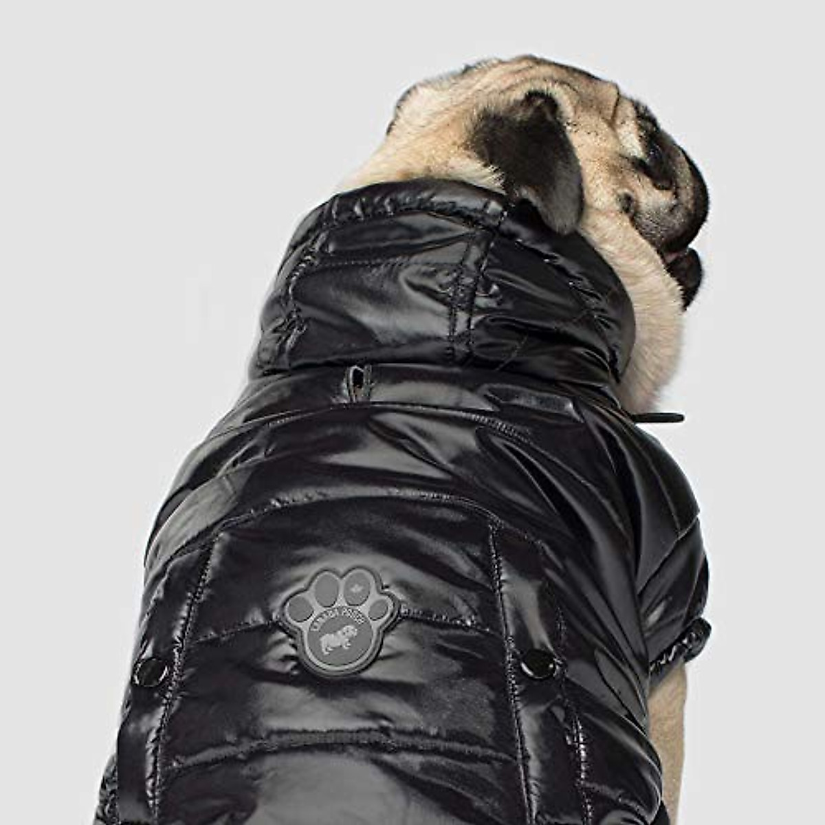 Canada Pooch Cp01747 Nordpol Parka Black Gloss Size 14